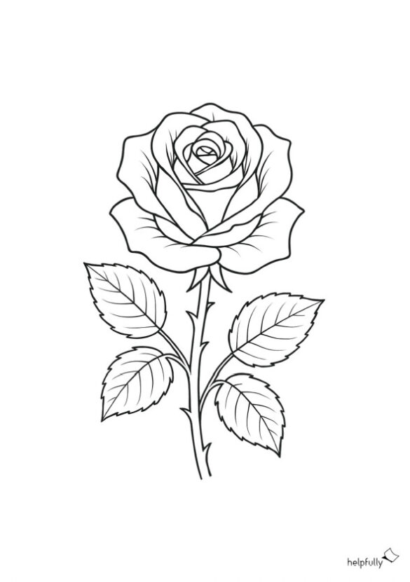 Schöne Ausmalbilder "Rosen" zum Ausdrucken - helpfully.de